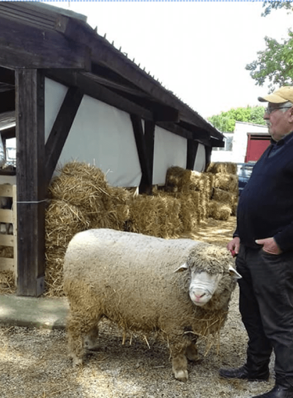 Udruženje "AMOOS" - Ramgen